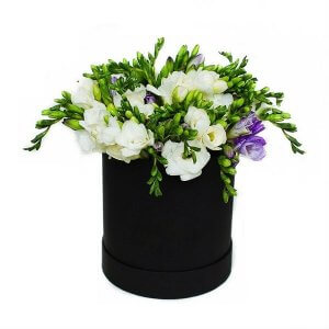 Frezijos | Frezijų pristatymas Vilniuje | GintarėsGėlės