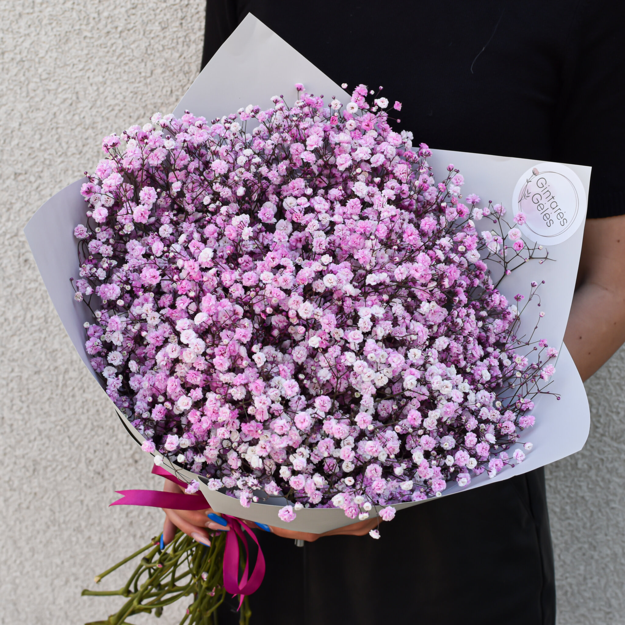 Gubojos | Dar vadinama Gipsofilijos | Gintarės Gėlės