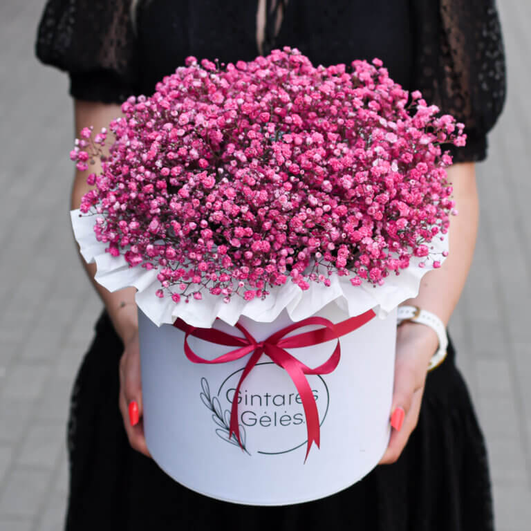 Gubojos | Dar vadinama Gipsofilijos | Gintarės Gėlės