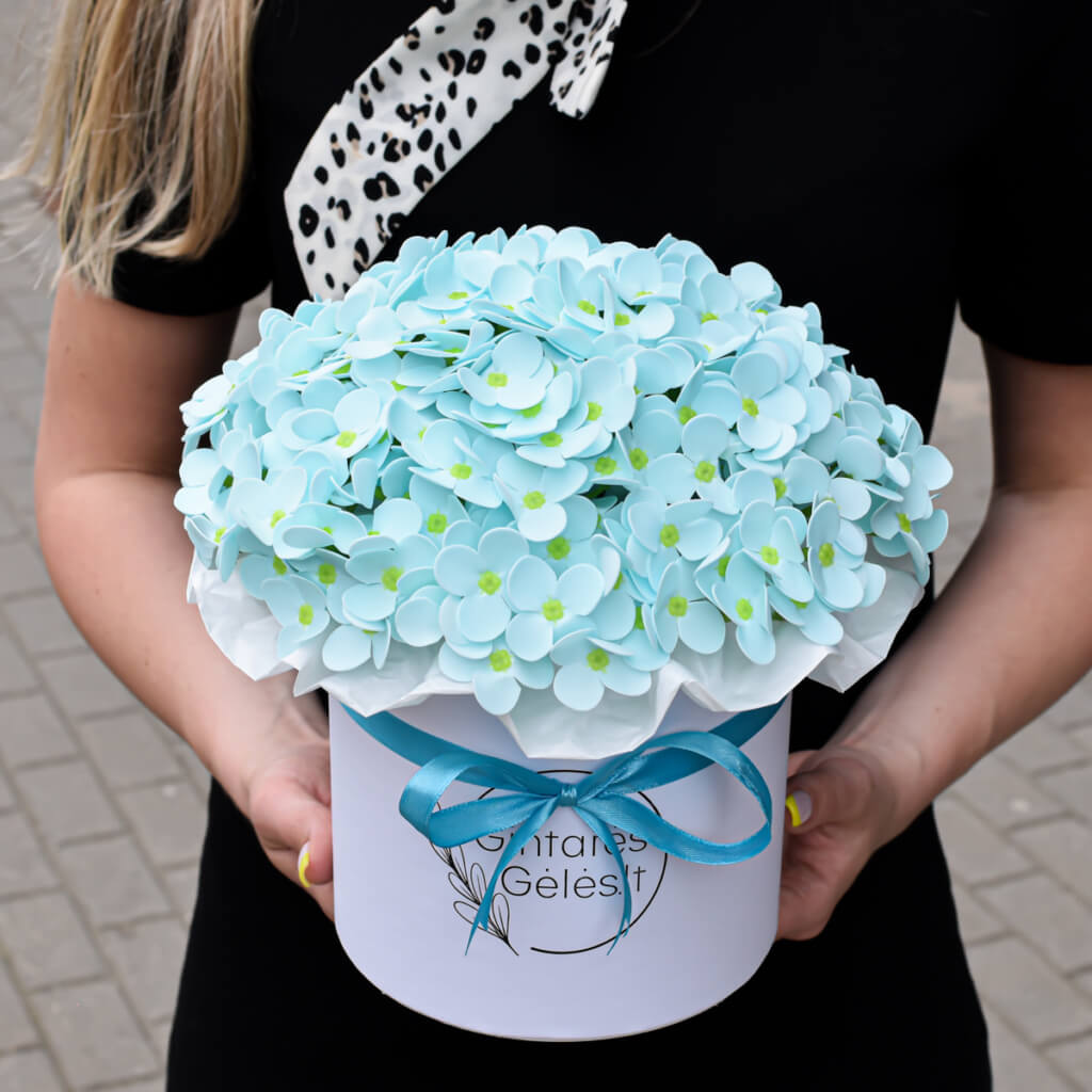 Muilo gėlės dėžutėje „Žydros hortenzijos“ | Gintarės Gėlės