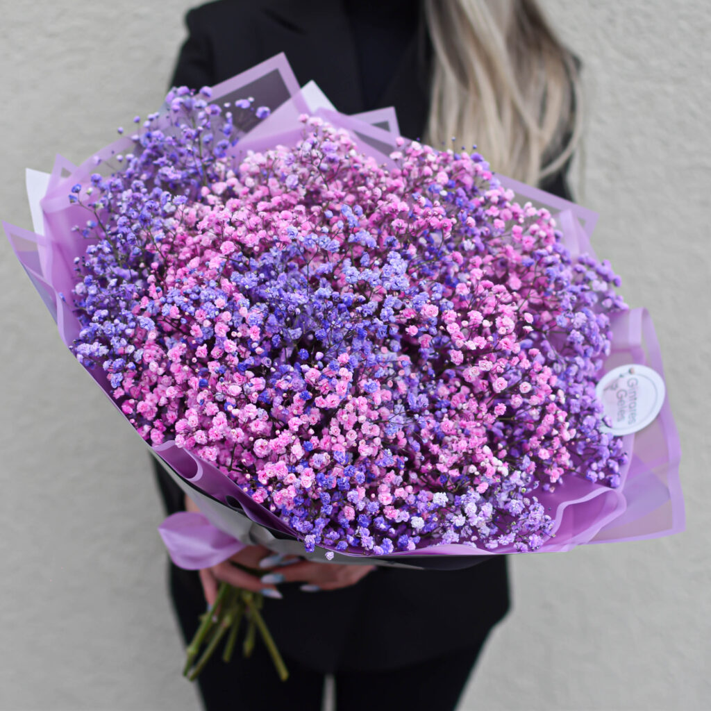 Gubojos | Dar vadinama Gipsofilijos | Gintarės Gėlės