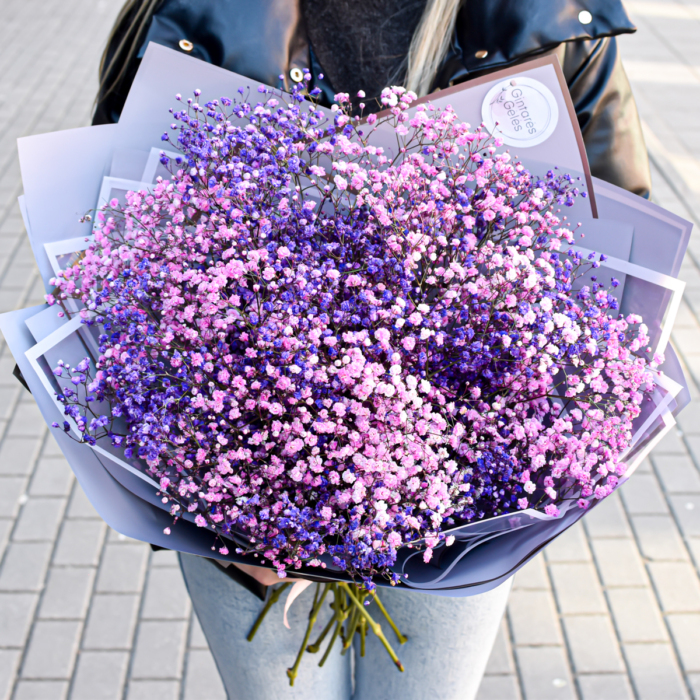 Gubojos | Dar vadinama Gipsofilijos | Gintarės Gėlės