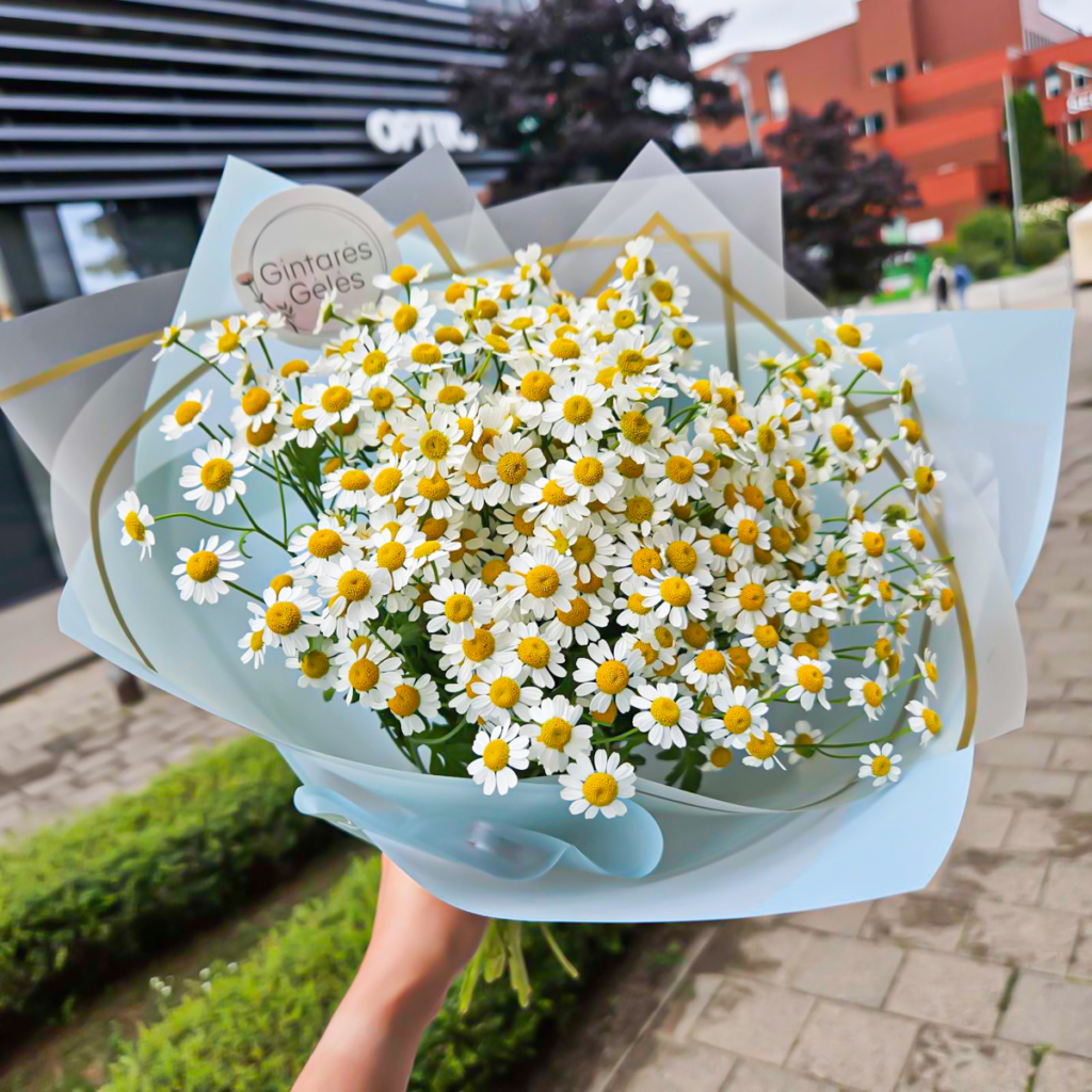 Gėlių puokštė „Švelnumas“ | Puokštės Vilniuje | Gintarės gėlės